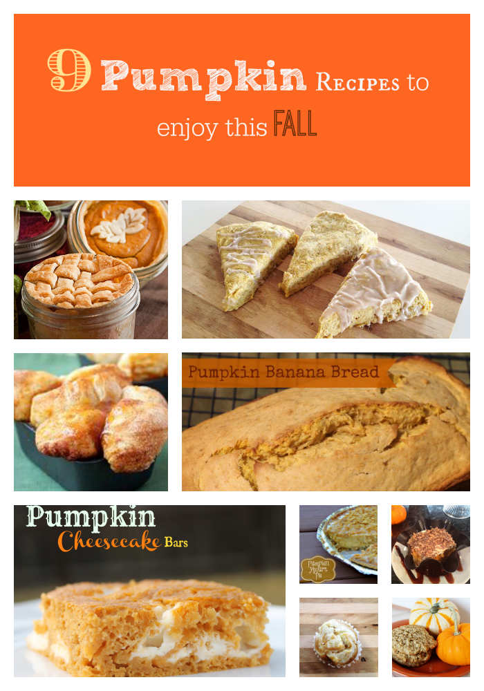 Pumpkin Recipe Round Up - My Crazy Savings